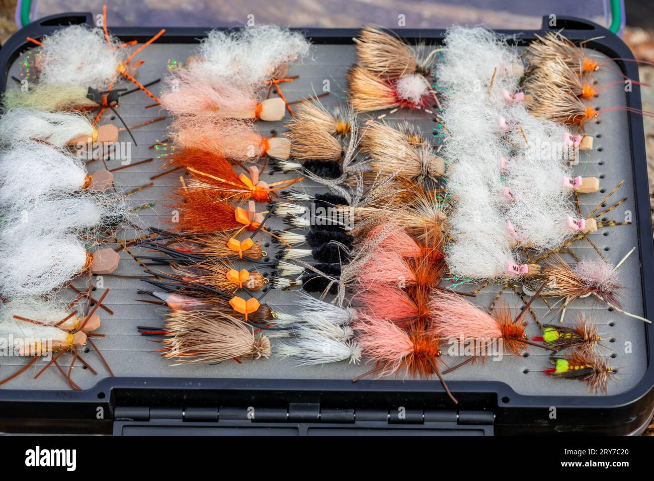 Fly Fishing Box Selection at the River Stock Photo - Alamy