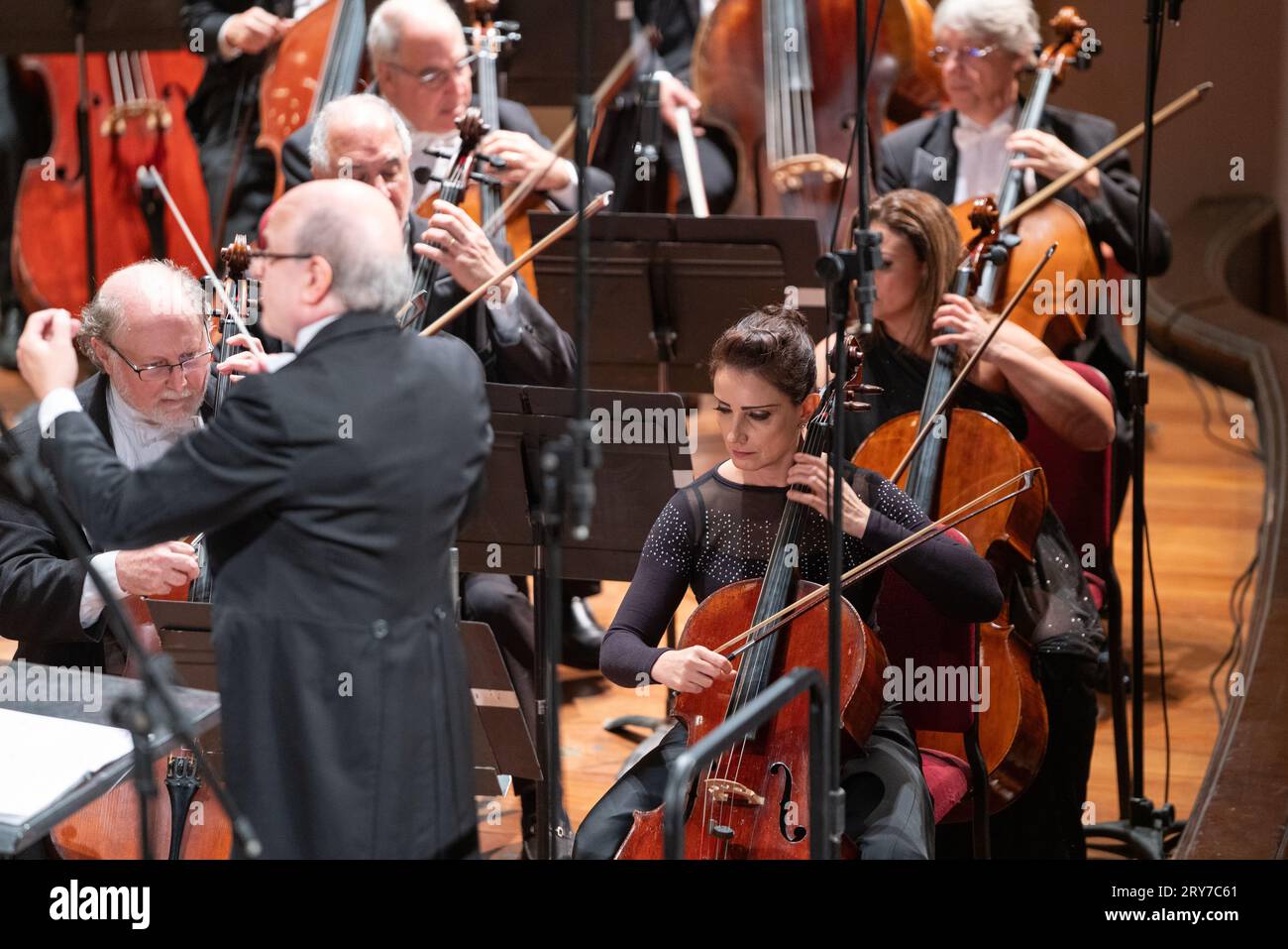 Concertmaster hi-res stock photography and images - Alamy