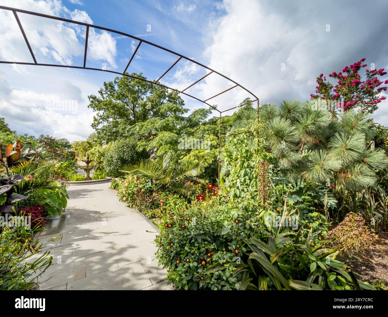 The Exotic garden at Wisley Stock Photo - Alamy