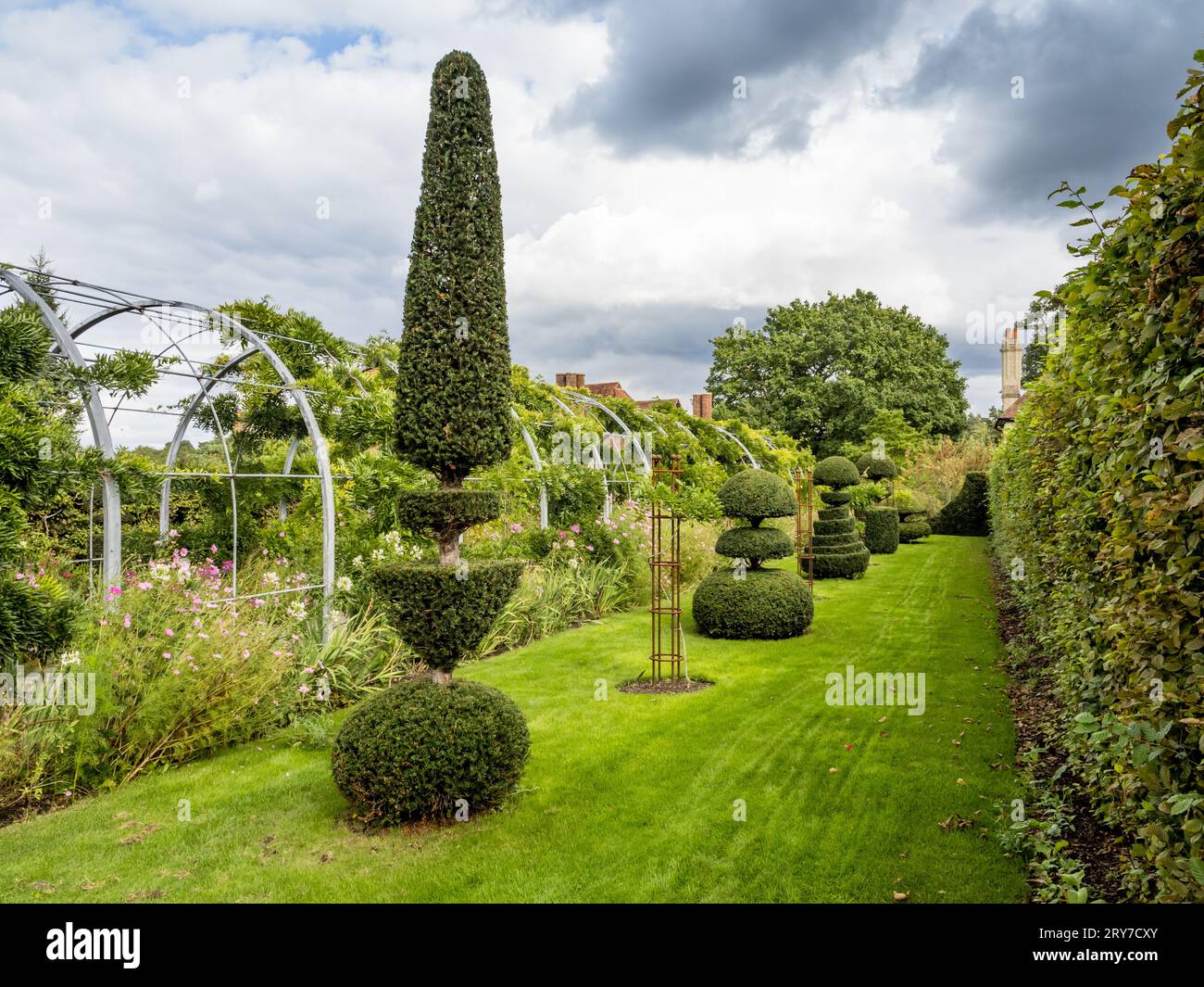 Topiary yew trees hi-res stock photography and images - Alamy