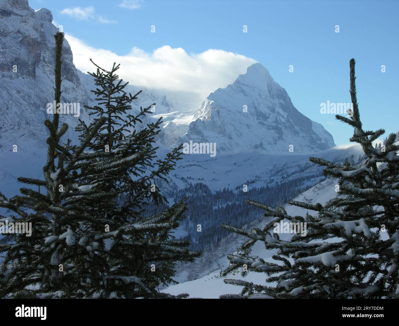 Eiger with snow flag Stock Photo - Alamy