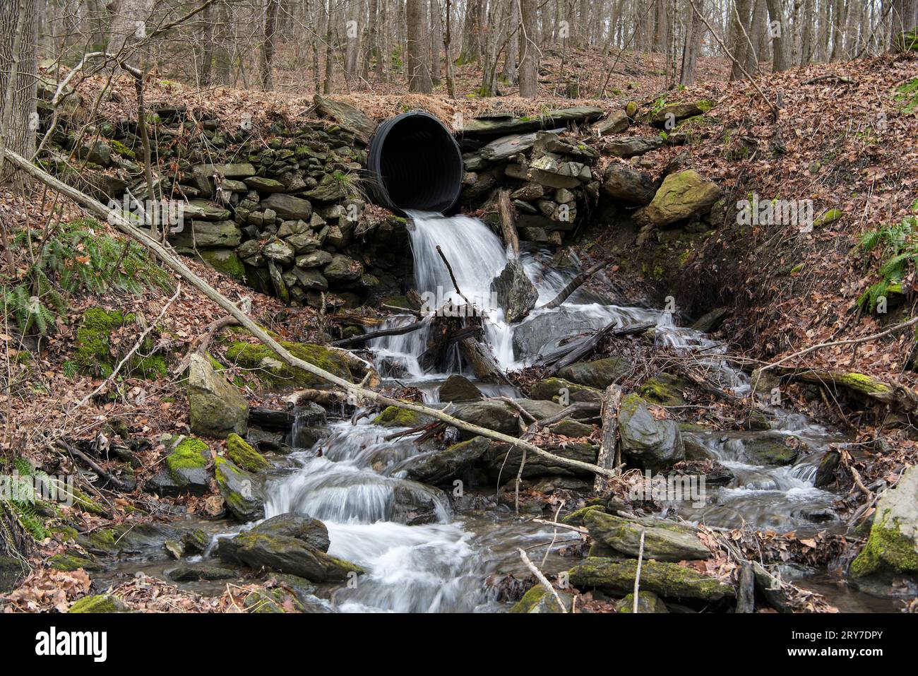 Rudd hill hi-res stock photography and images - Alamy