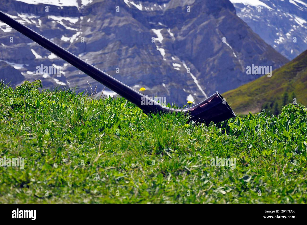 Alphorn hi-res stock photography and images - Alamy