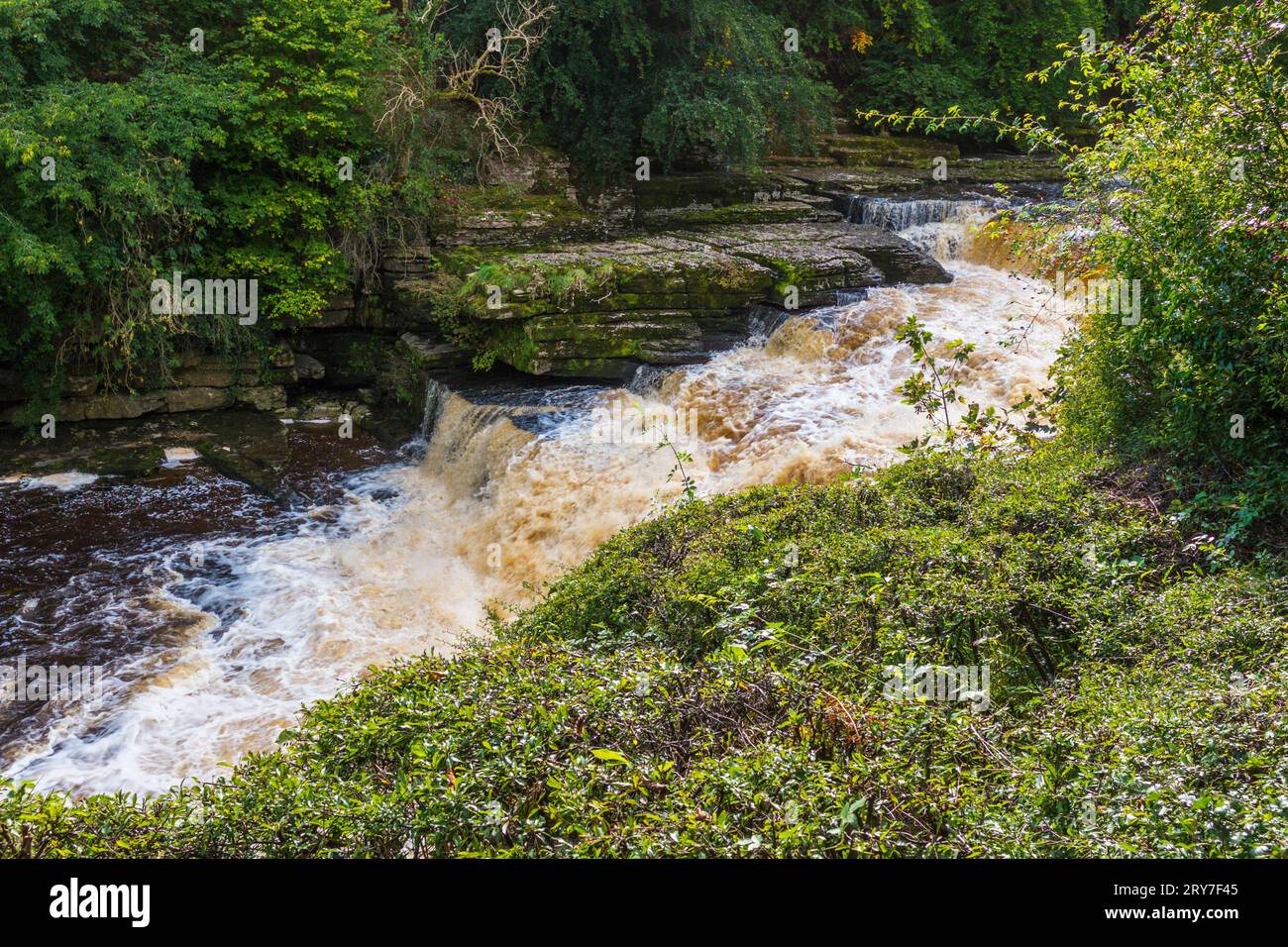 Aysgarth Falls on the River Ure in the Yorkshire Dales National Park ...