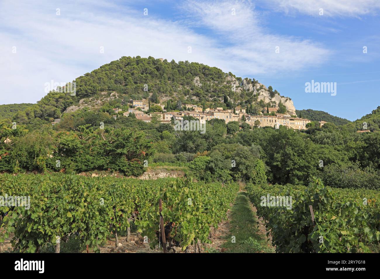 Vineyards below the Rhône wine and Plus Beaux village of Séguret in ...