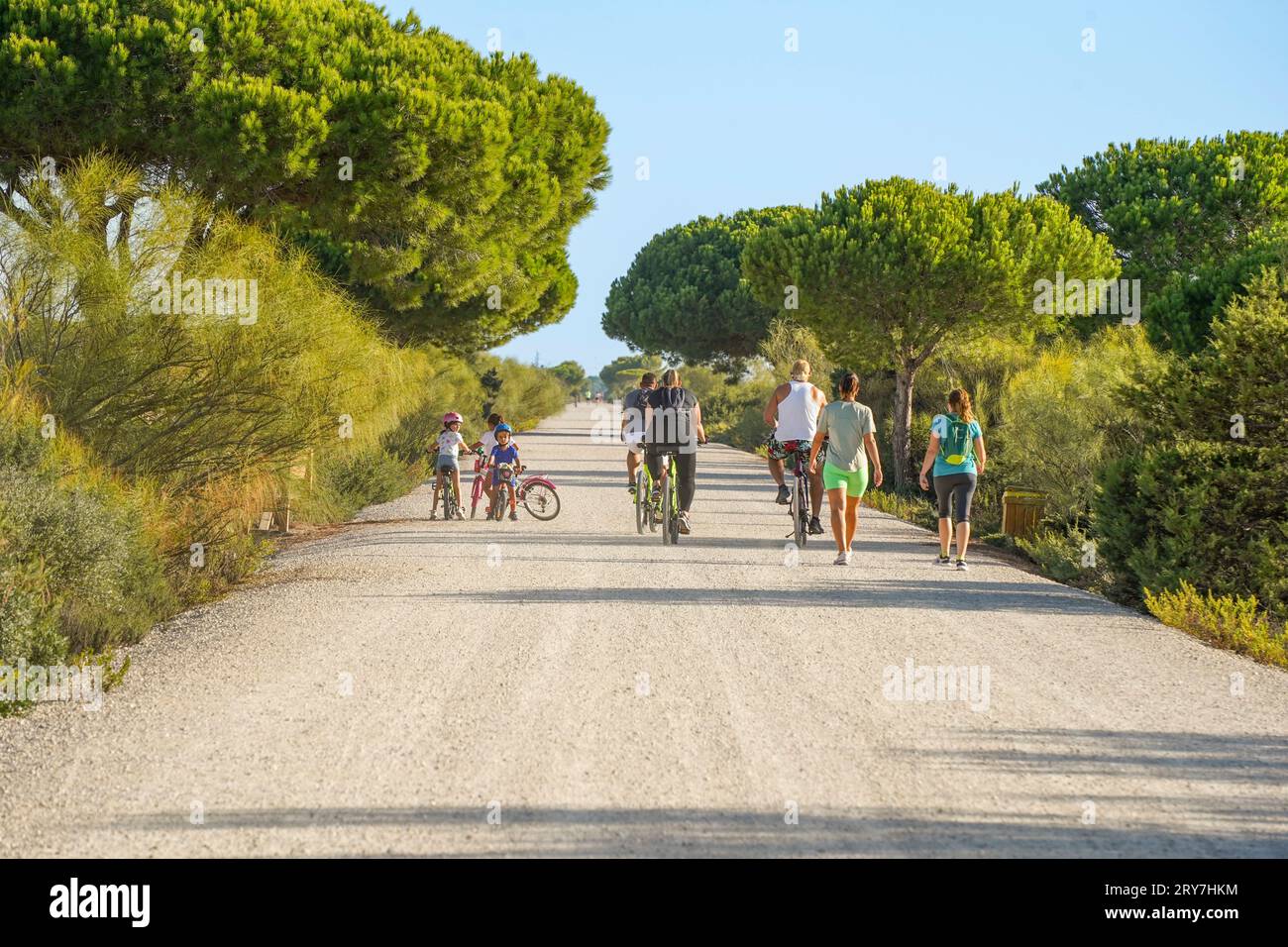 Los Toruños Natural Park, El Puerto de Santa Maria, Cadiz Province, Andalusia, Spain Stock Photo ...