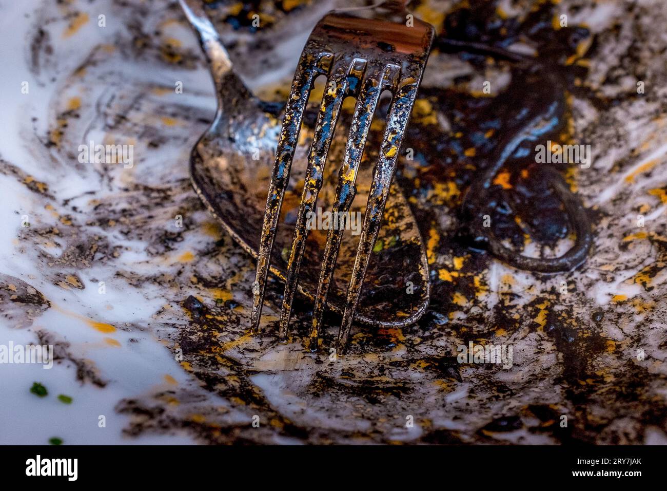 Experience Authentic Italian Cuisine: Handmade Cuttlefish Pasta and ...