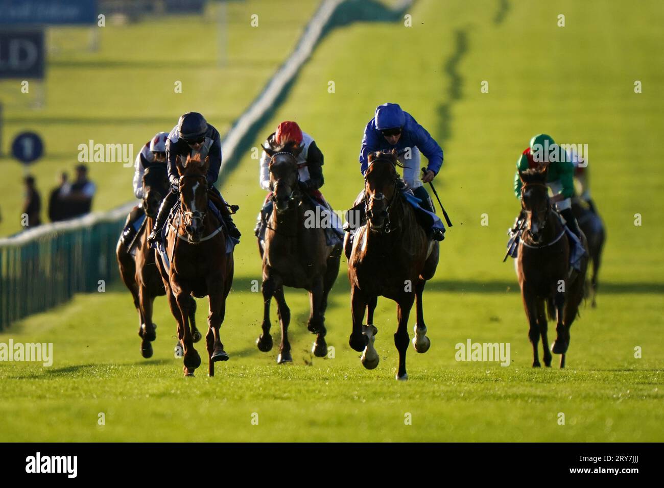 Tregony horse hi-res stock photography and images - Alamy