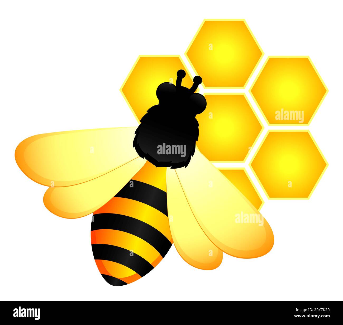 Bee nectar hive Cut Out Stock Images & Pictures - Alamy