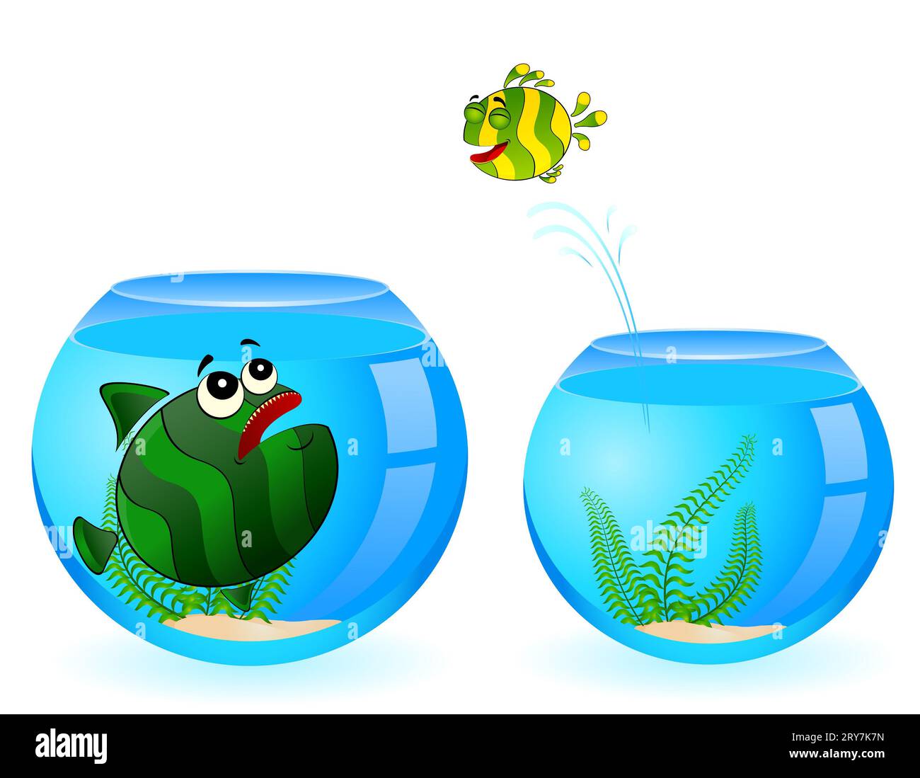 Fish pursues after little fish Stock Photo - Alamy