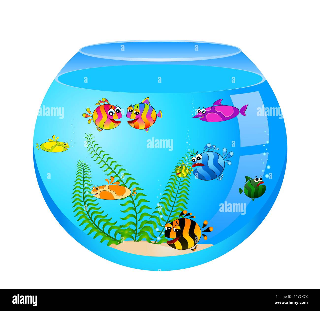 Fish in aquarium Stock Photo - Alamy