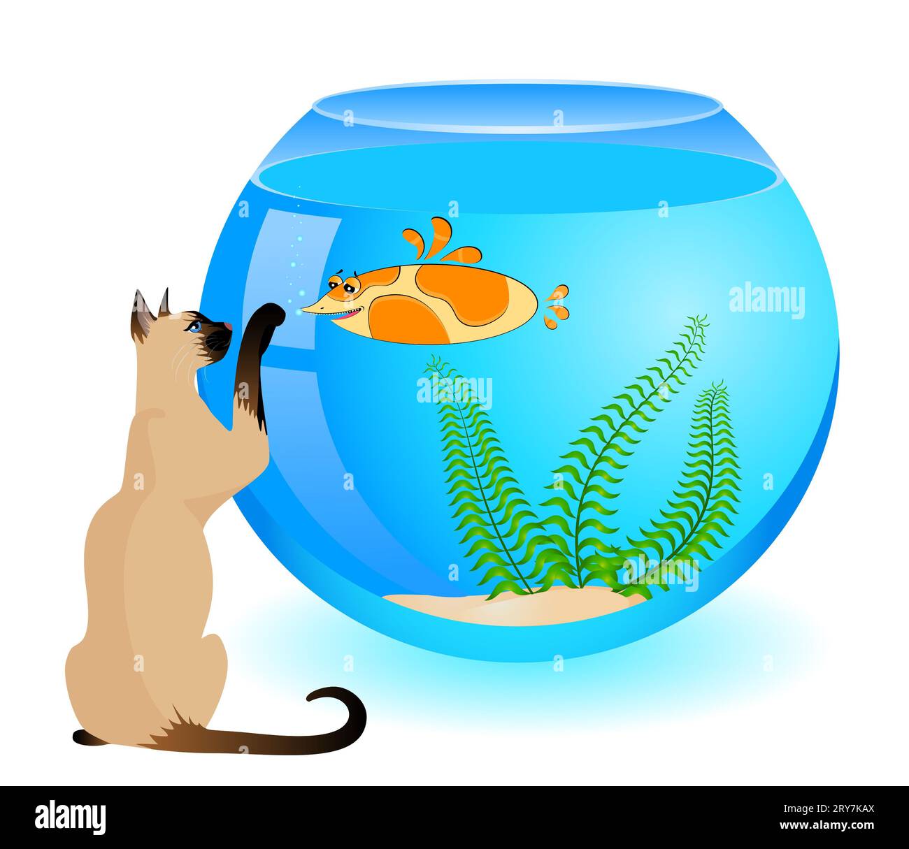 Fish for cat Cut Out Stock Images & Pictures - Alamy