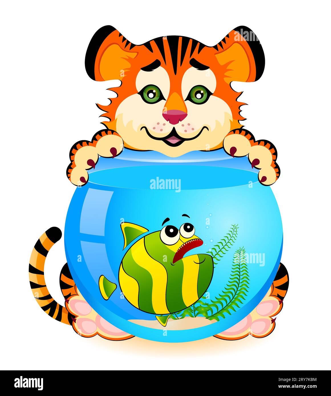 Tiger with little fish Stock Photo - Alamy