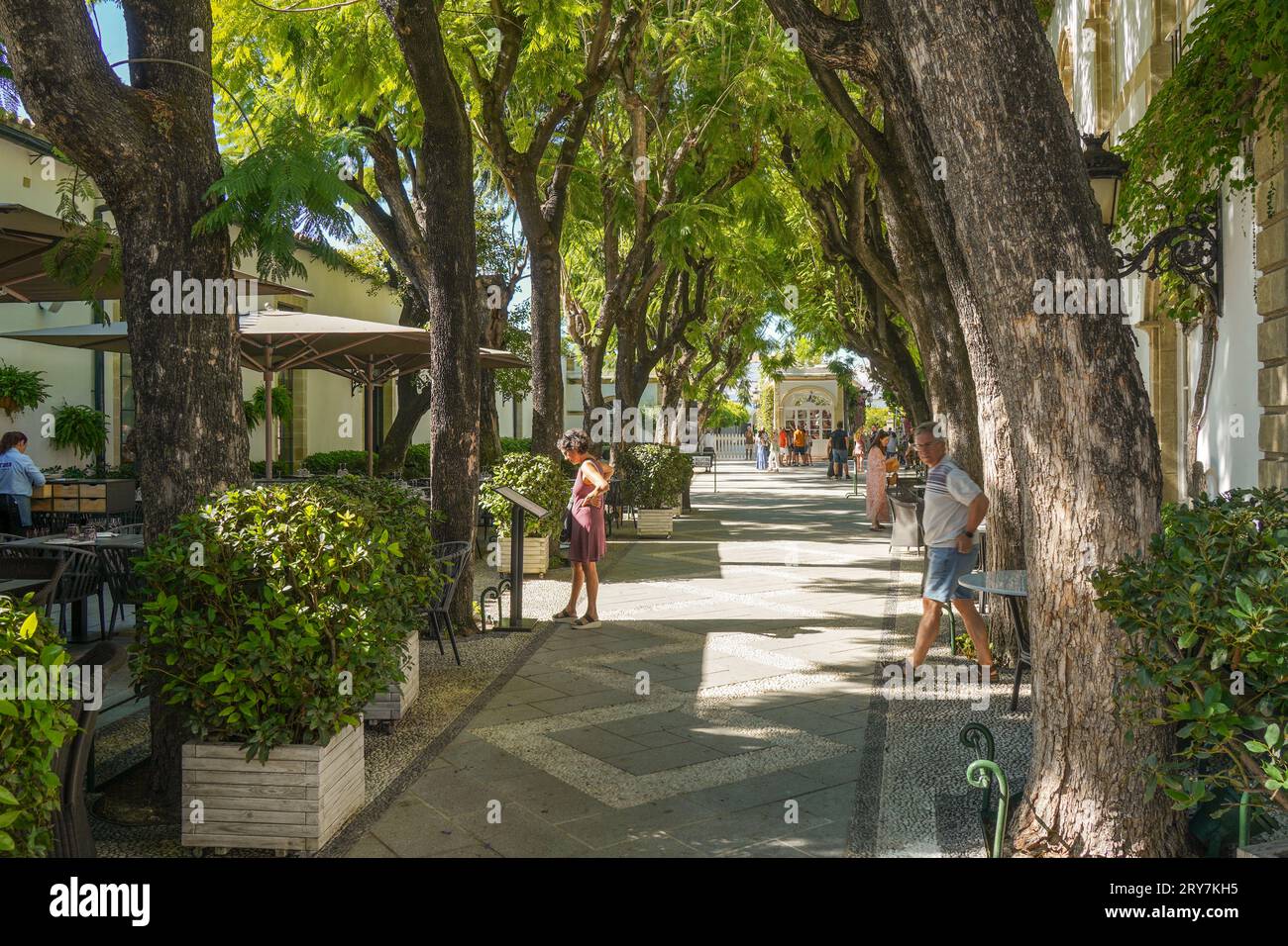 Osborne bodegas visiting centre hi-res stock photography and images - Alamy