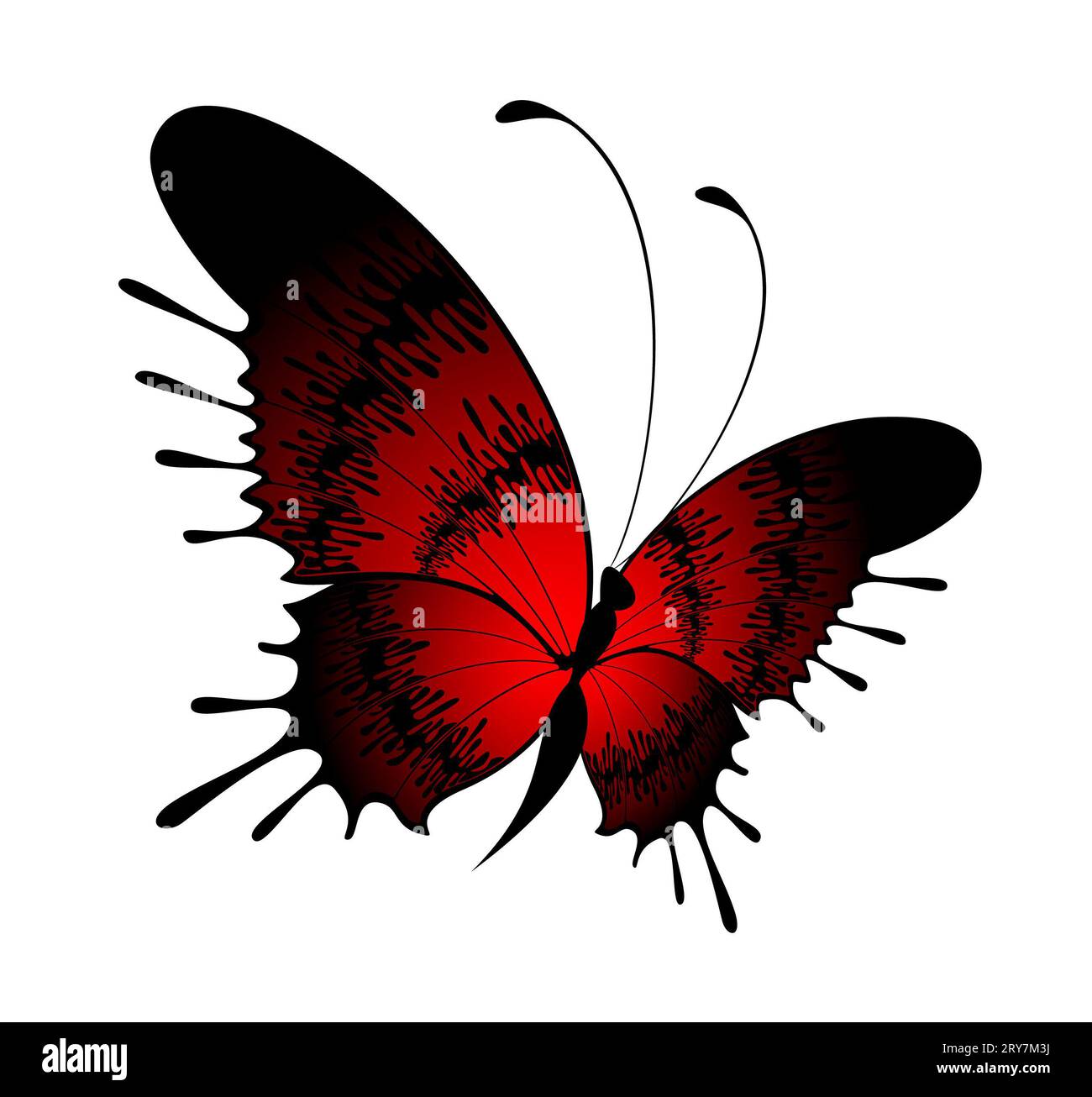 Butterfly layout hi-res stock photography and images - Alamy