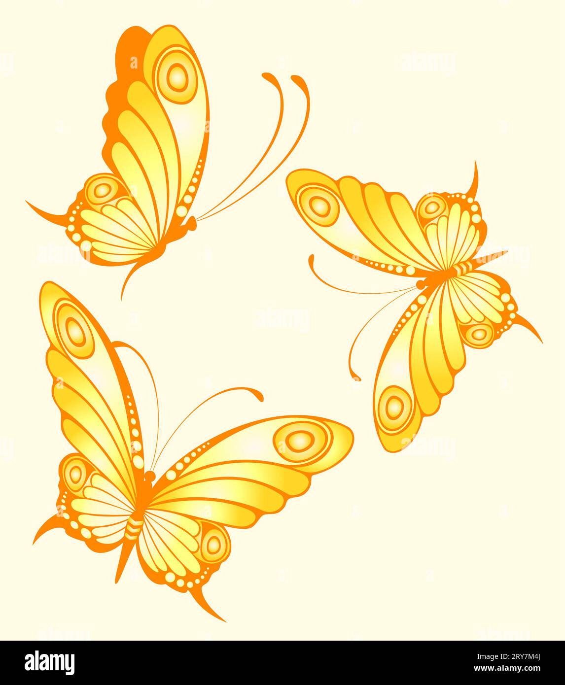 Beautiful butterflies hi-res stock photography and images - Alamy