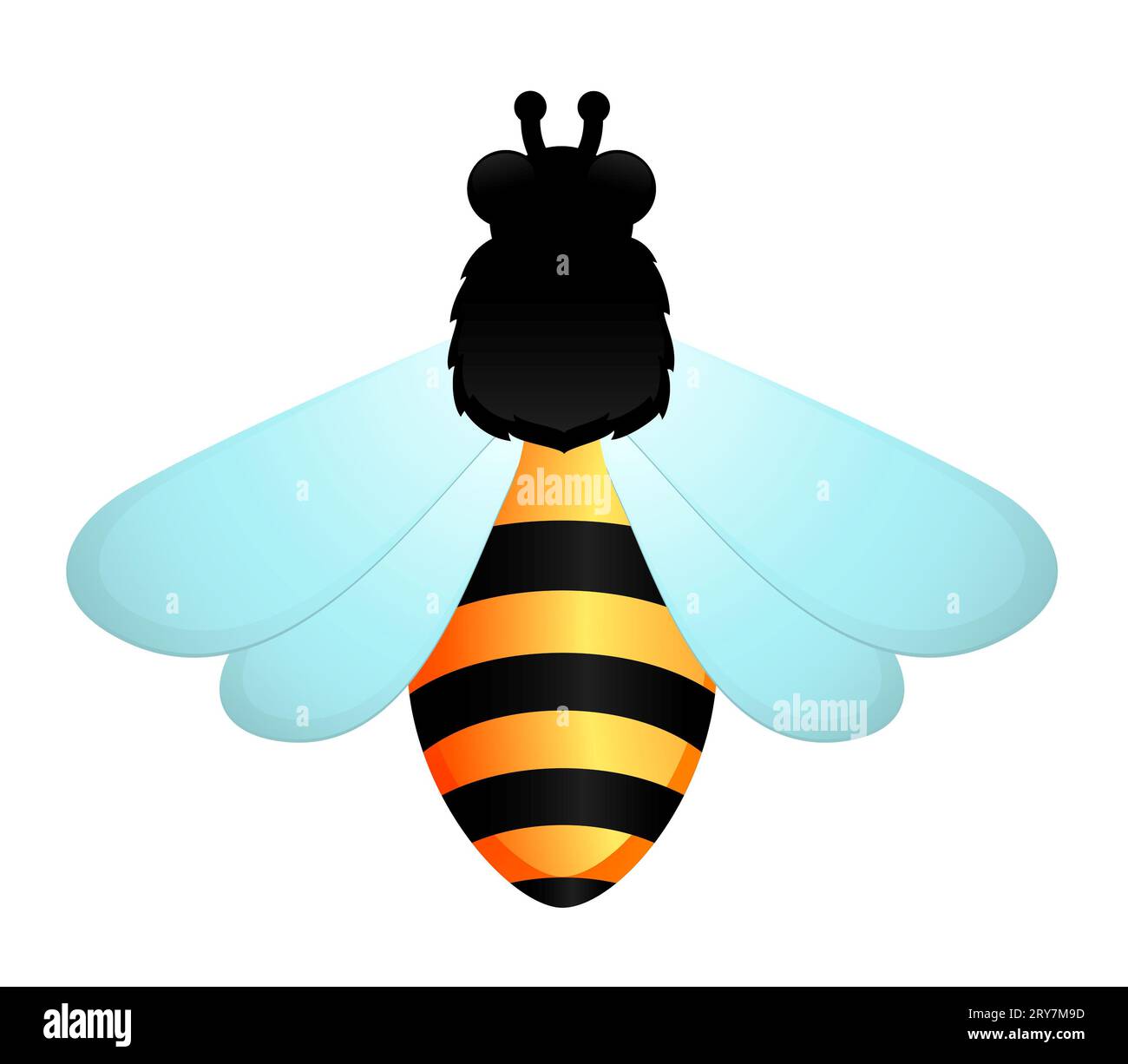 Beautiful funny bee Stock Photo - Alamy