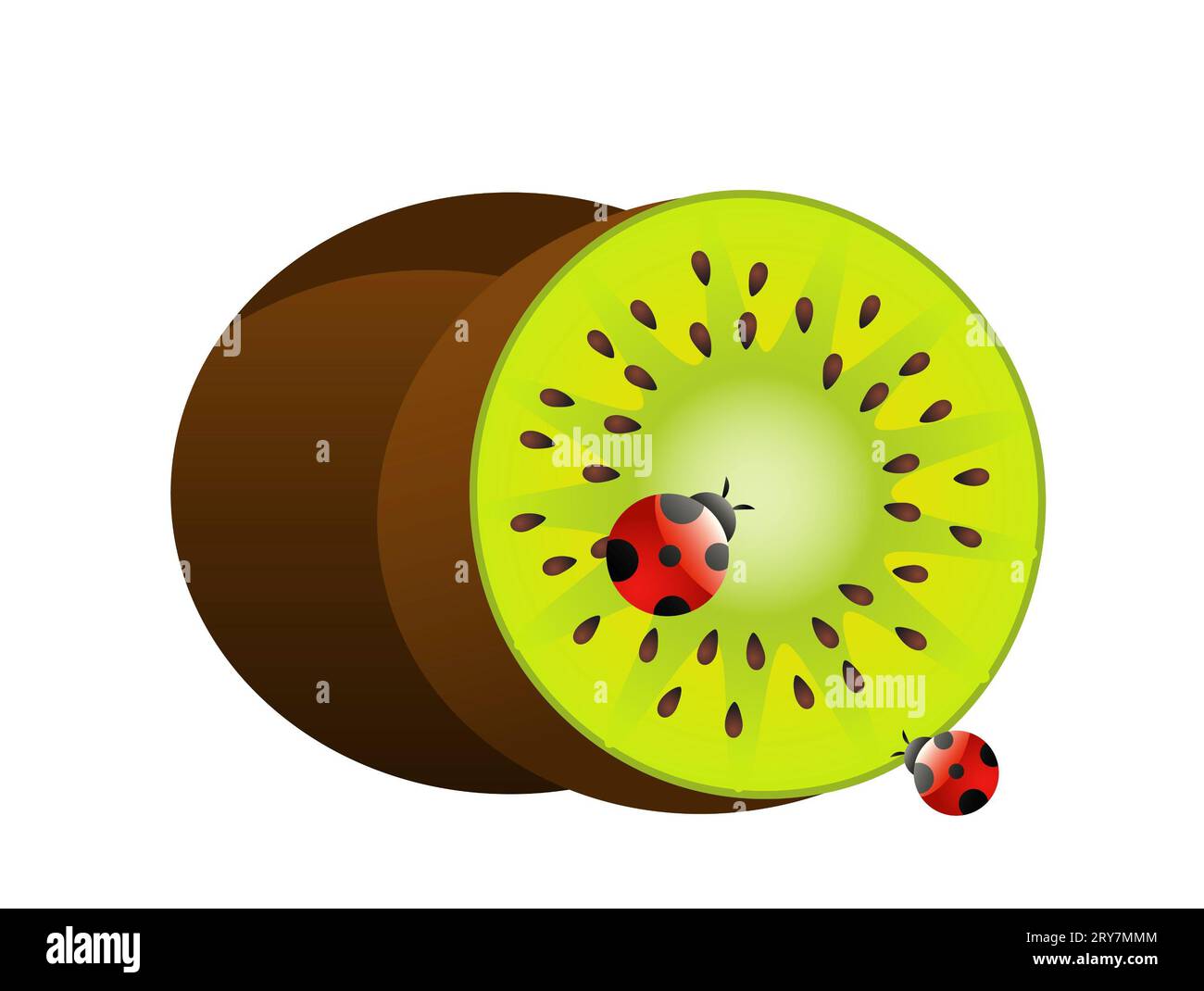 Kivi hi-res stock photography and images - Alamy