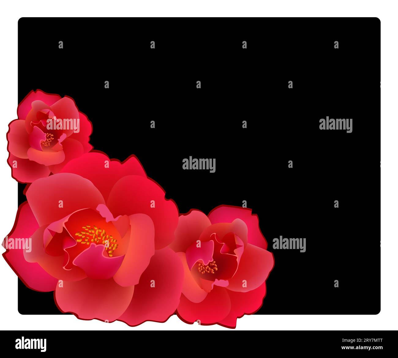 Background illustration black roses Cut Out Stock Images & Pictures - Alamy