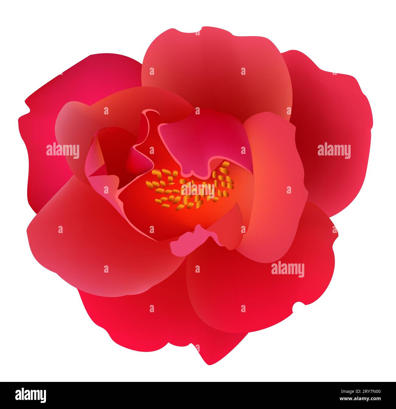 Pink flower cartoon Cut Out Stock Images & Pictures - Alamy
