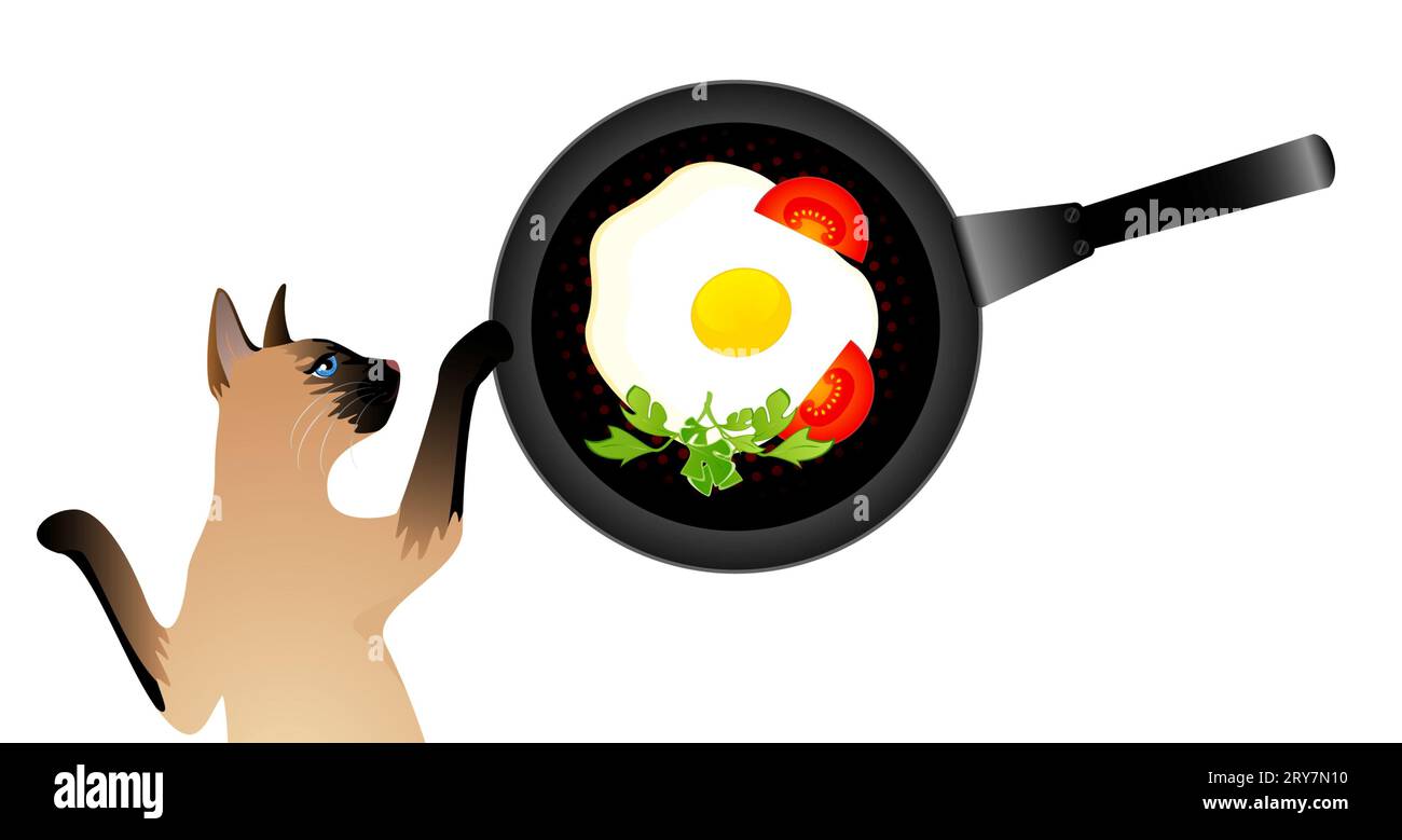 Fat cat eating hi-res stock photography and images - Alamy