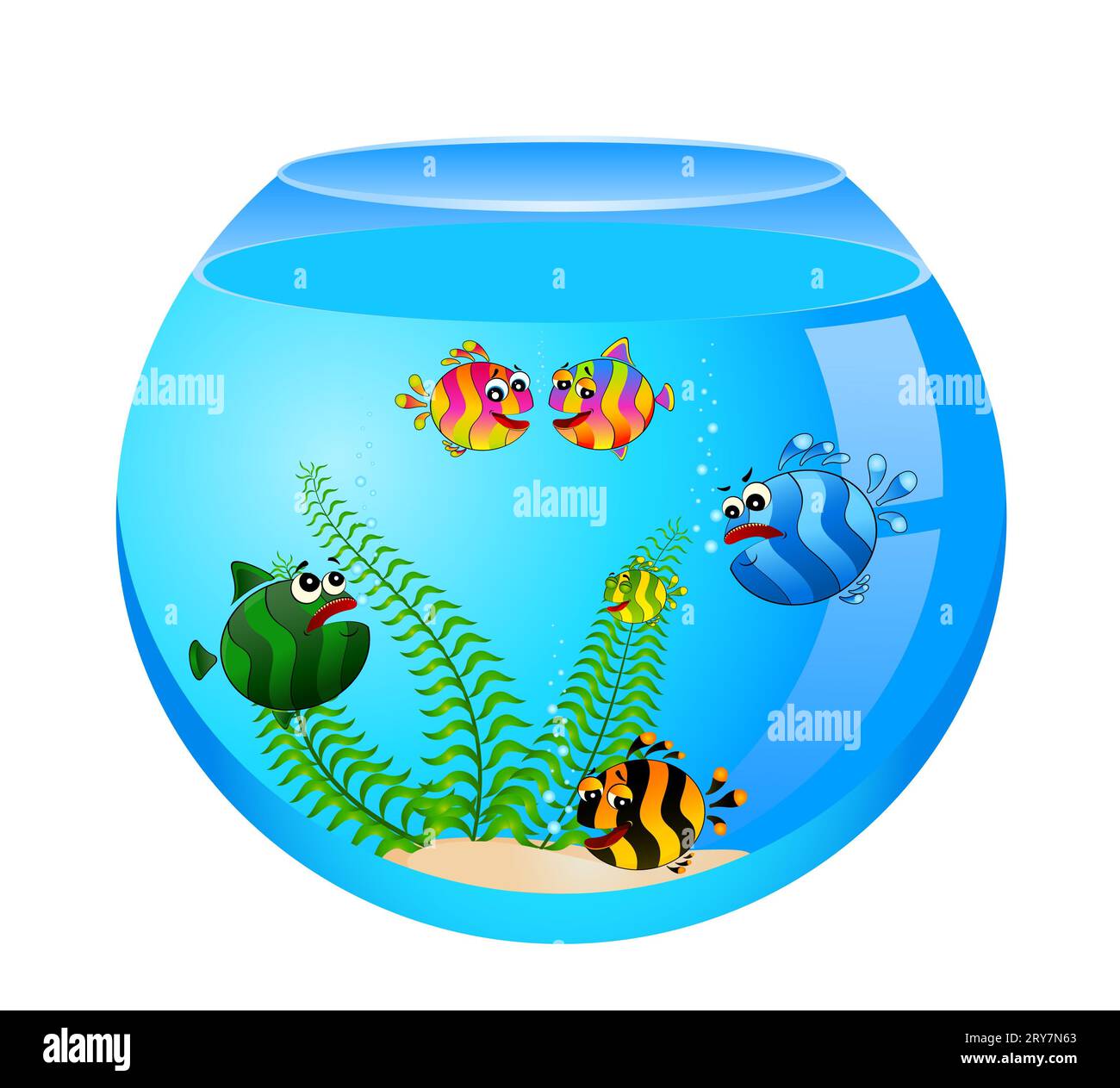 Tropical fish in aquarium Stock Photo - Alamy