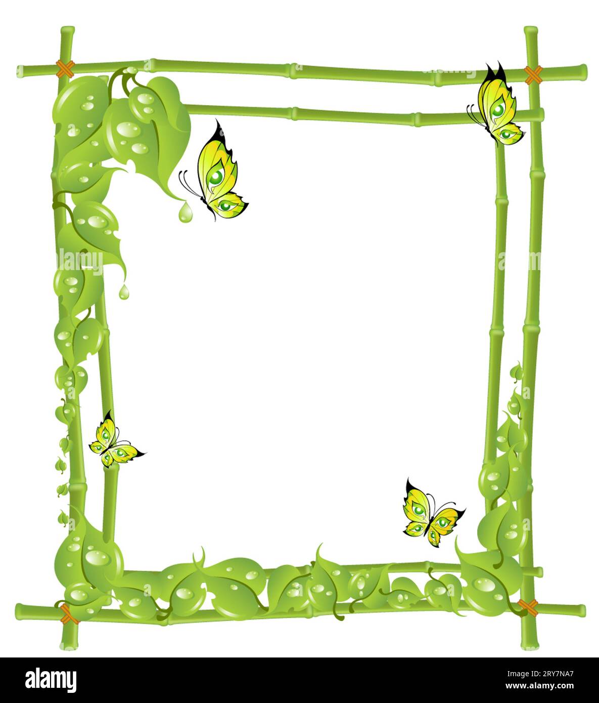 Abstract organic frame hi-res stock photography and images - Alamy