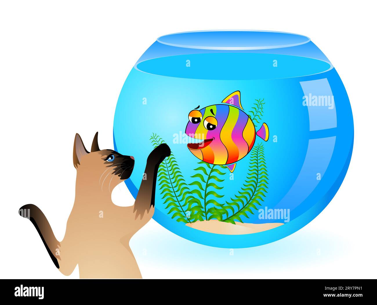 Cat with little colorful tropical fish Stock Photo - Alamy