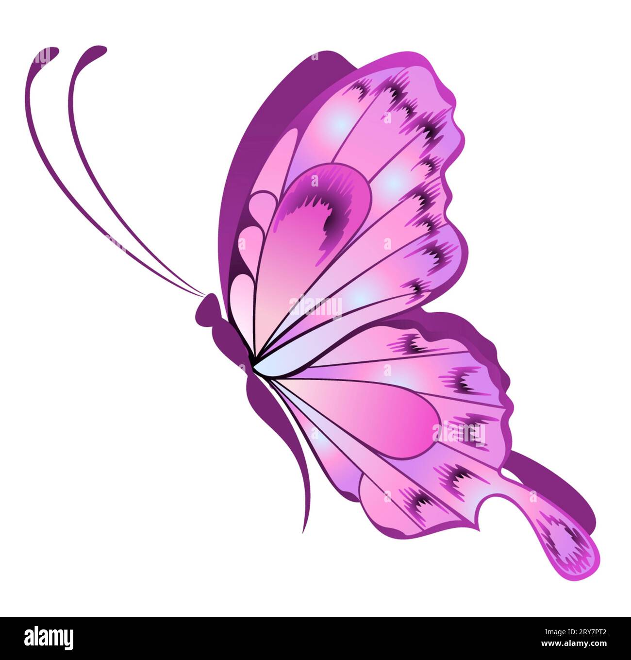 Line art butterfly layout hi-res stock photography and images - Alamy