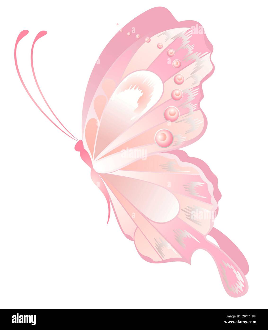 Beautiful butterfly silhouette hi-res stock photography and images - Alamy