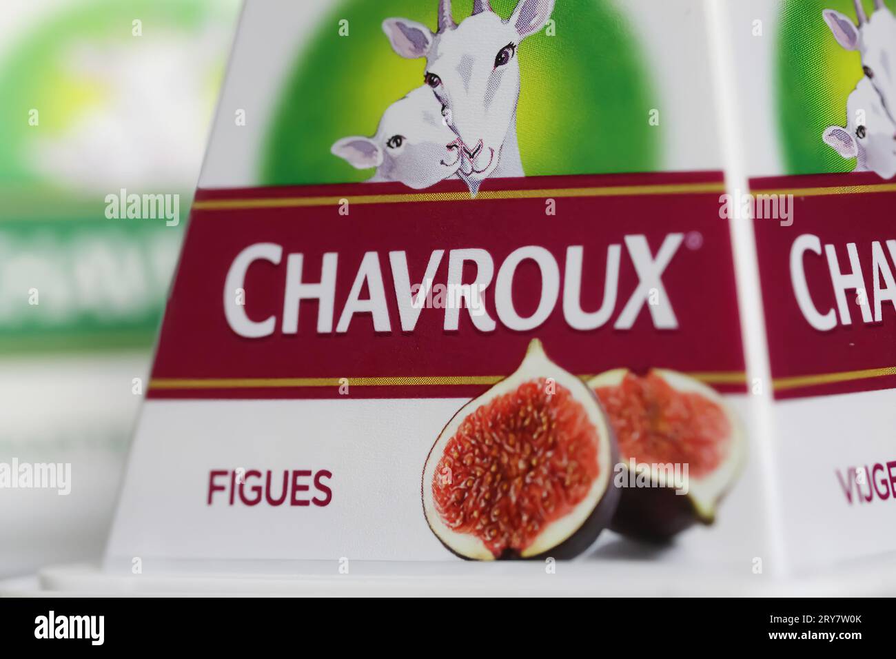 Viersen, Germany - September 9, 2023: Closeup of Chavroux figs goat ...