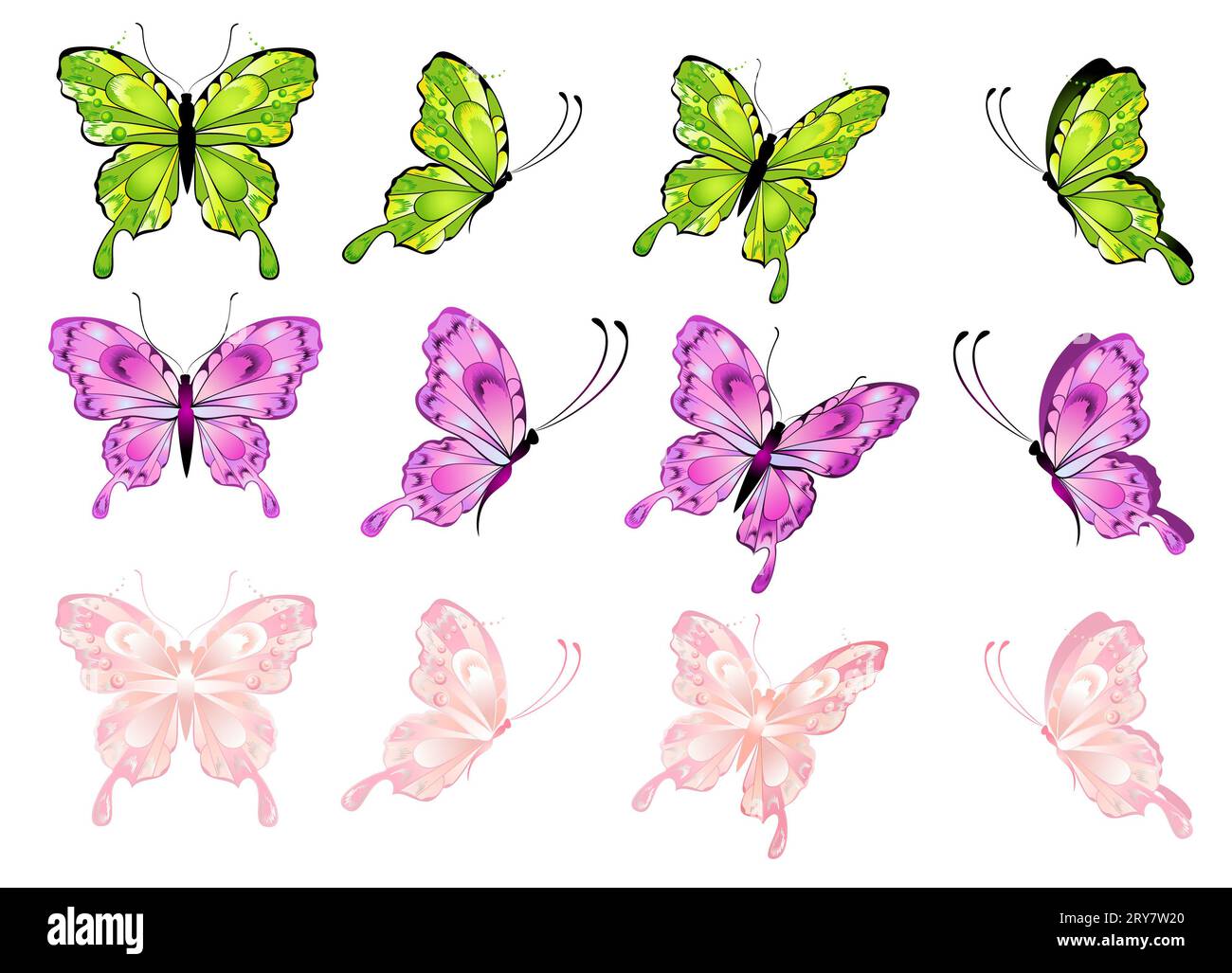 Set of beautiful butterfly Stock Photo - Alamy