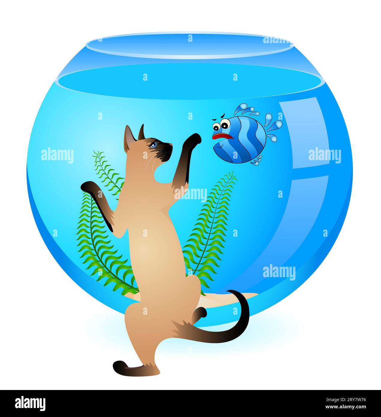 Cartoon cat with little colorful tropical fish in Stock Photo - Alamy
