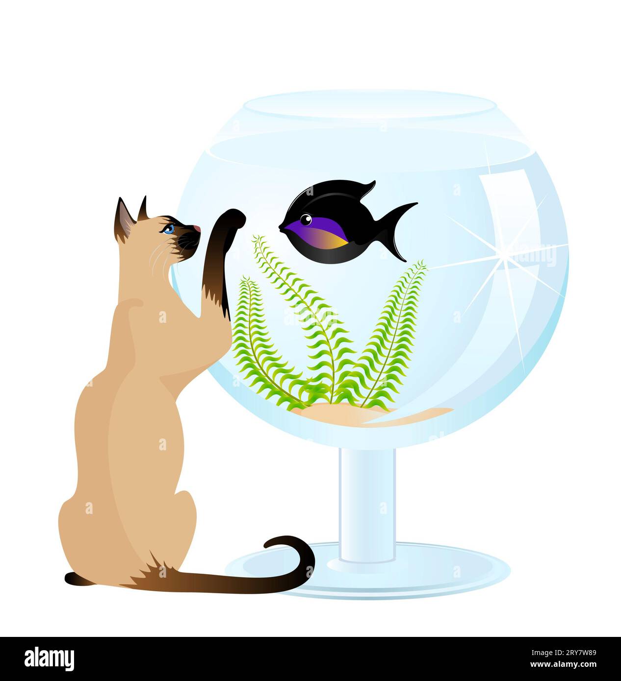Cartoon cat with little colorful tropical fish in Stock Photo - Alamy