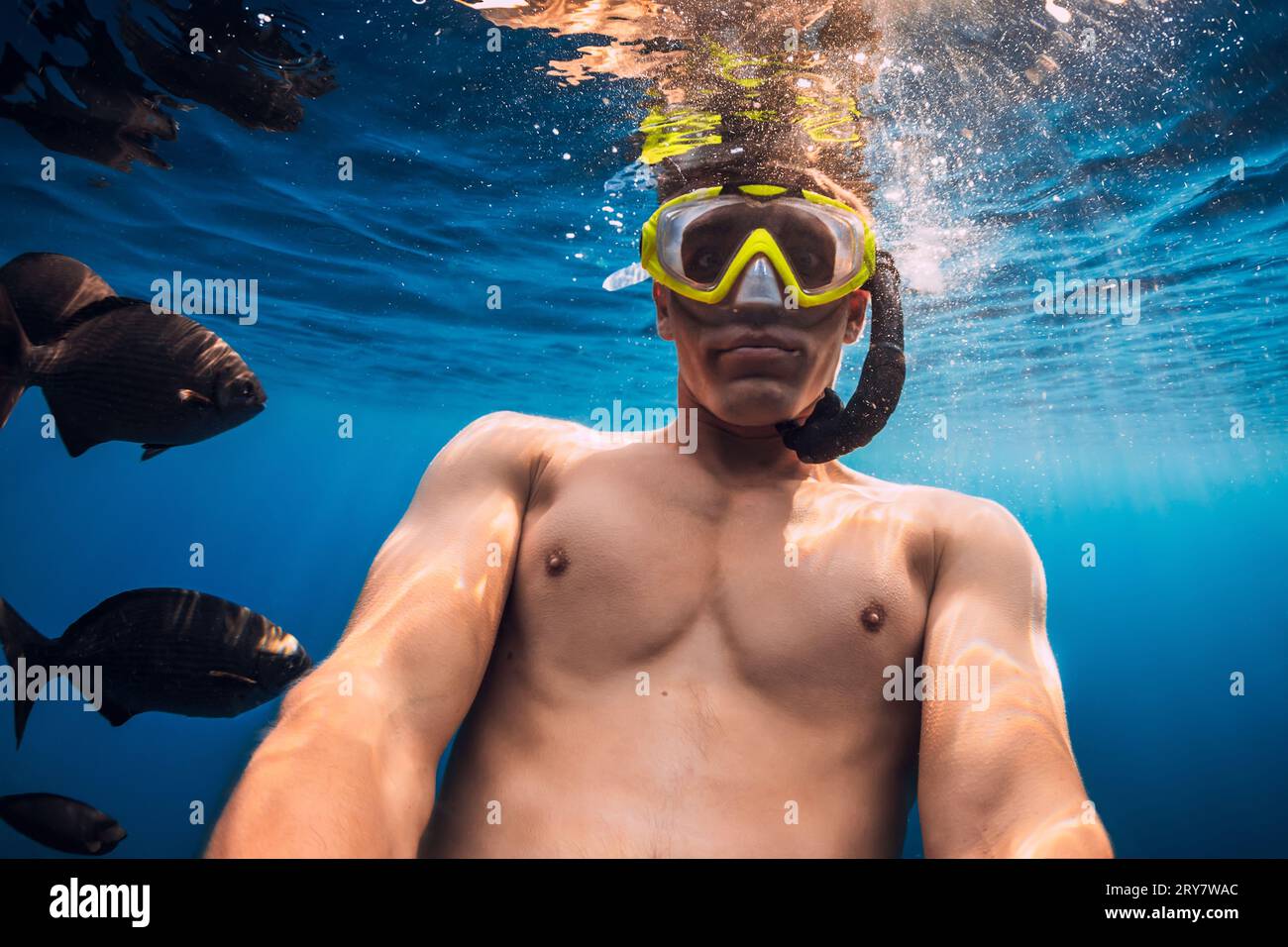 Men in diving mask make selfie underwater with exotic fishes in ...