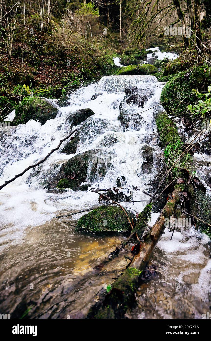 Quelle im wald hi-res stock photography and images - Alamy