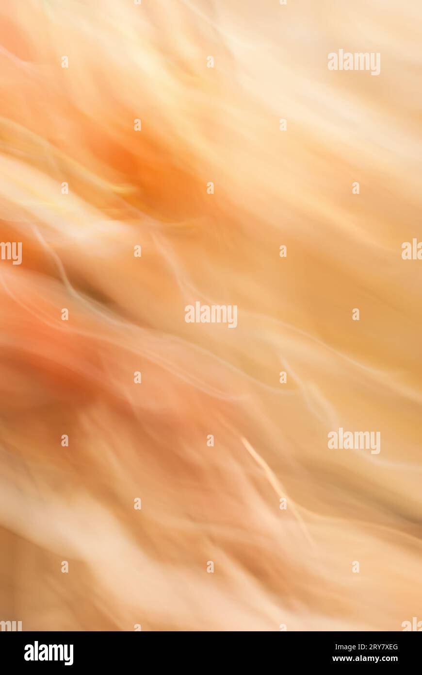 Dynamic camera movement hi-res stock photography and images - Alamy
