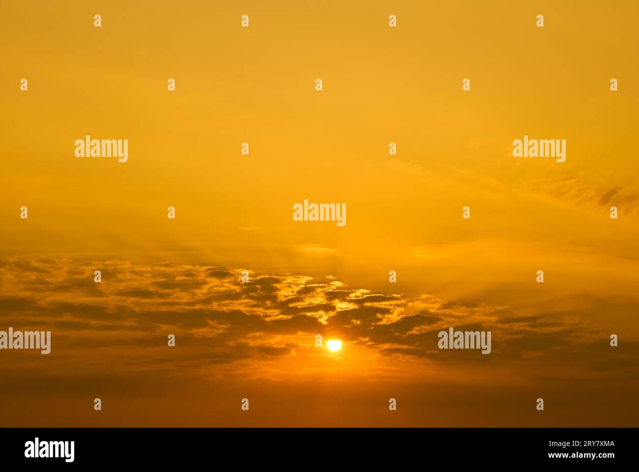 Vanilla heaven hi-res stock photography and images - Alamy