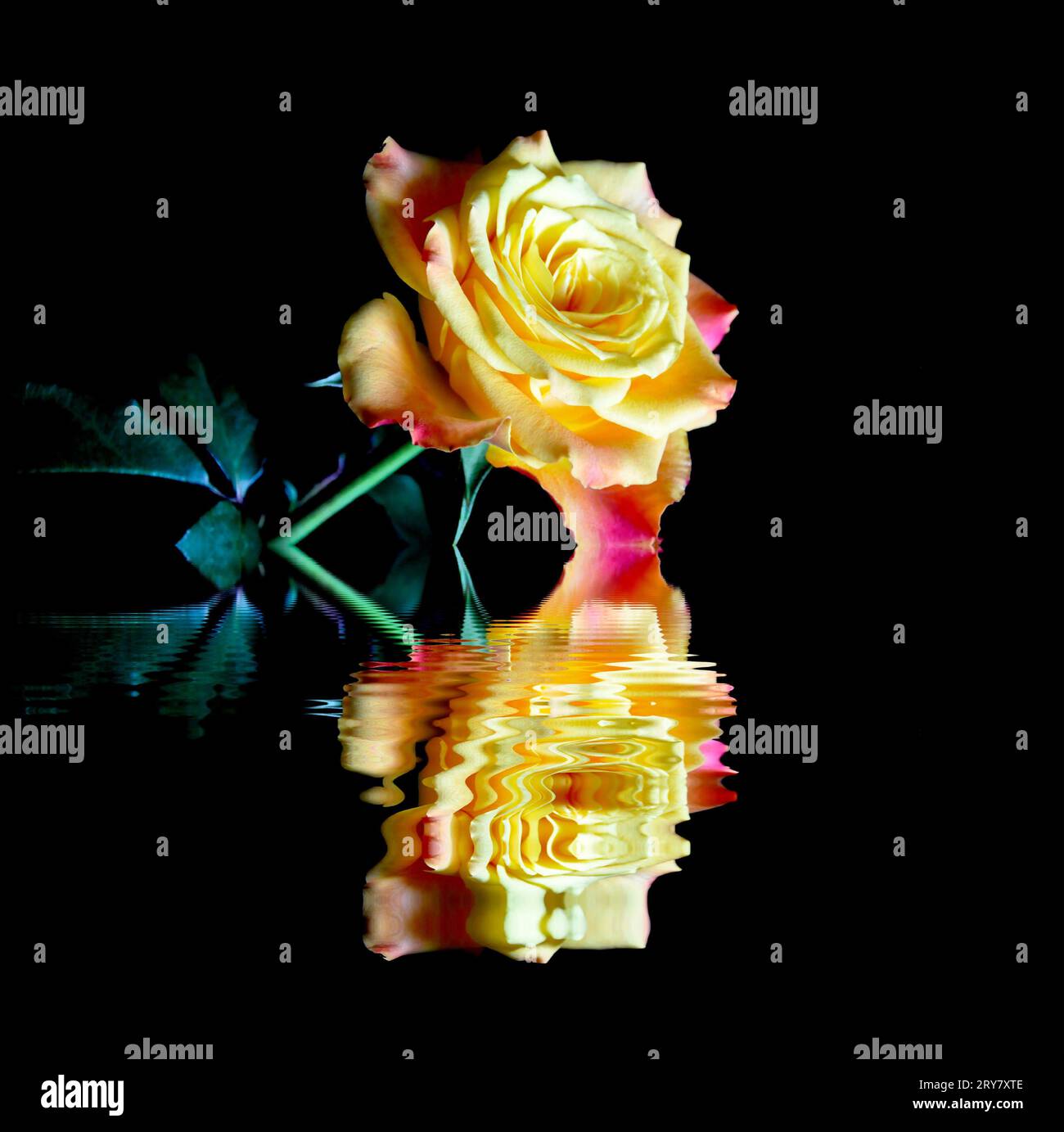 Water transience hi-res stock photography and images - Alamy