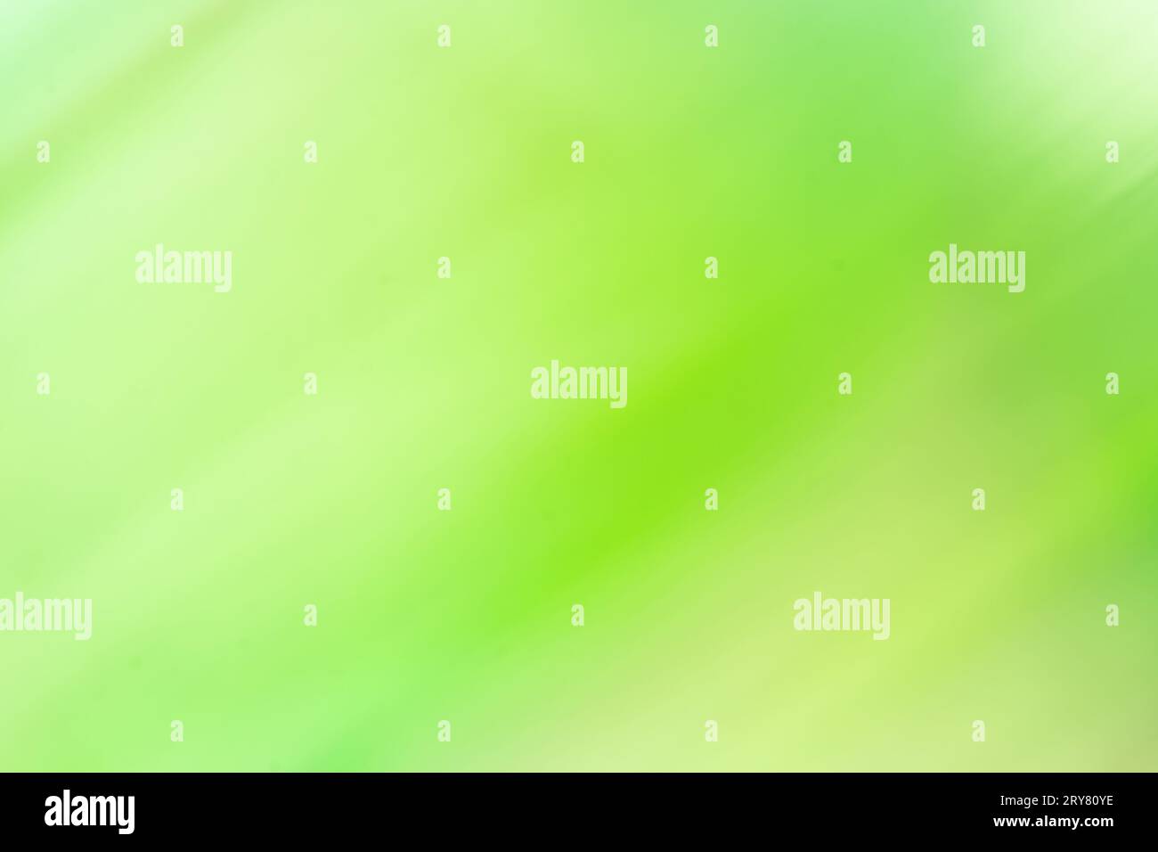 Abstract green gradient effect blurred colorful backdrop. Soft gradient background Stock Photo ...