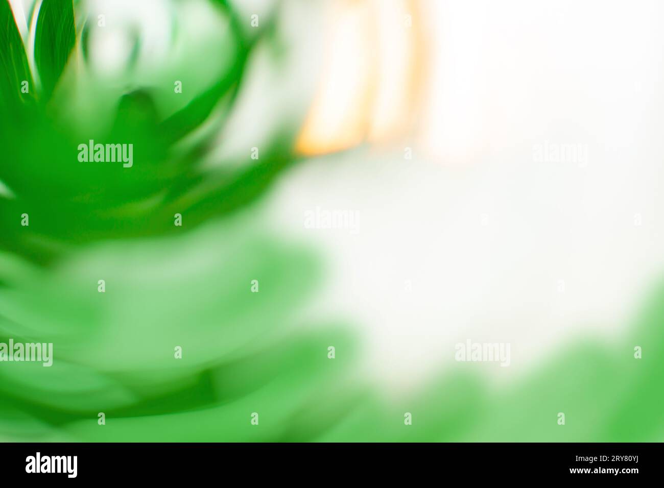 Beautiful sunset tropical beach with palm tree blurred natural ...