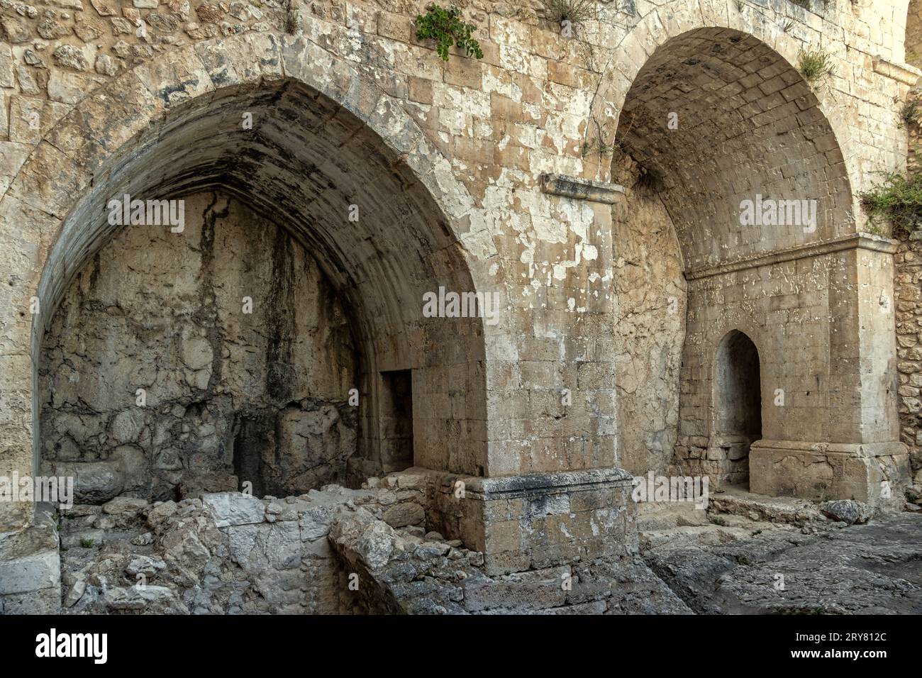 architecture of the Latin and Byzantine Abbey of Santa Maria di Pulsano ...