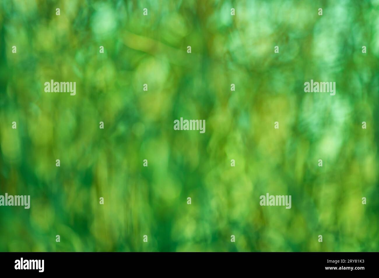 Blurred green motion minimalistic background. Bokeh abstract blurred ...