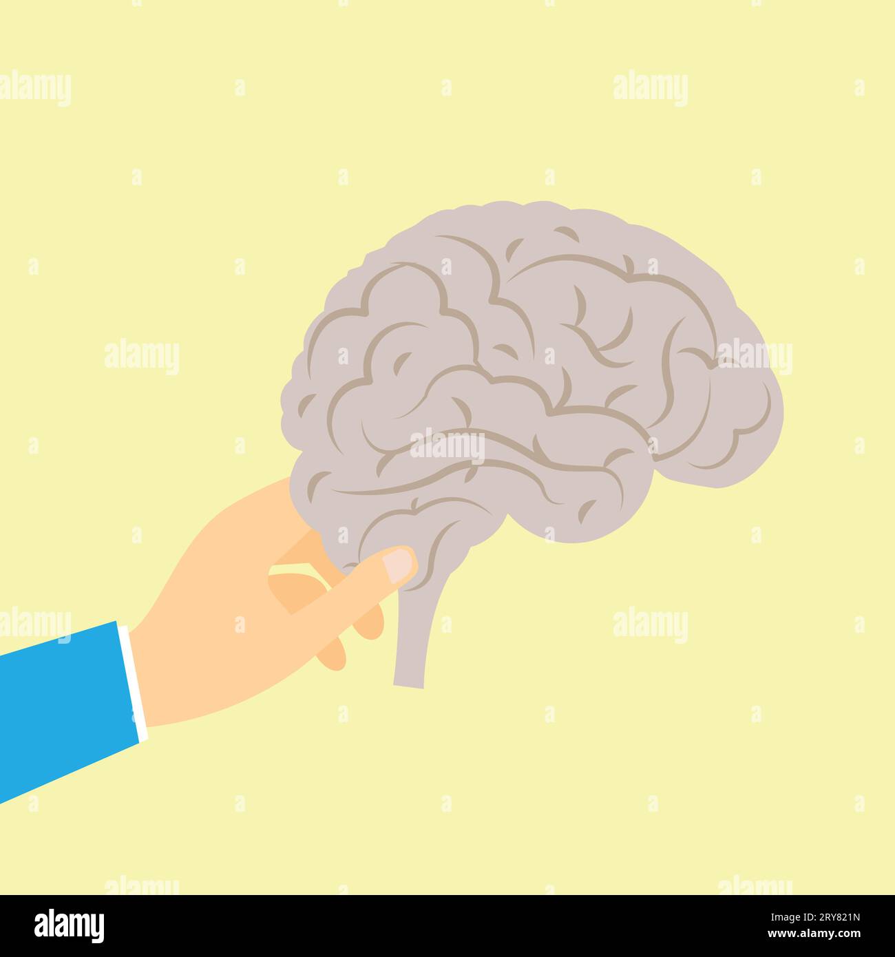 Conceptual vector of a human hand holding a brain Stock Vector Image ...