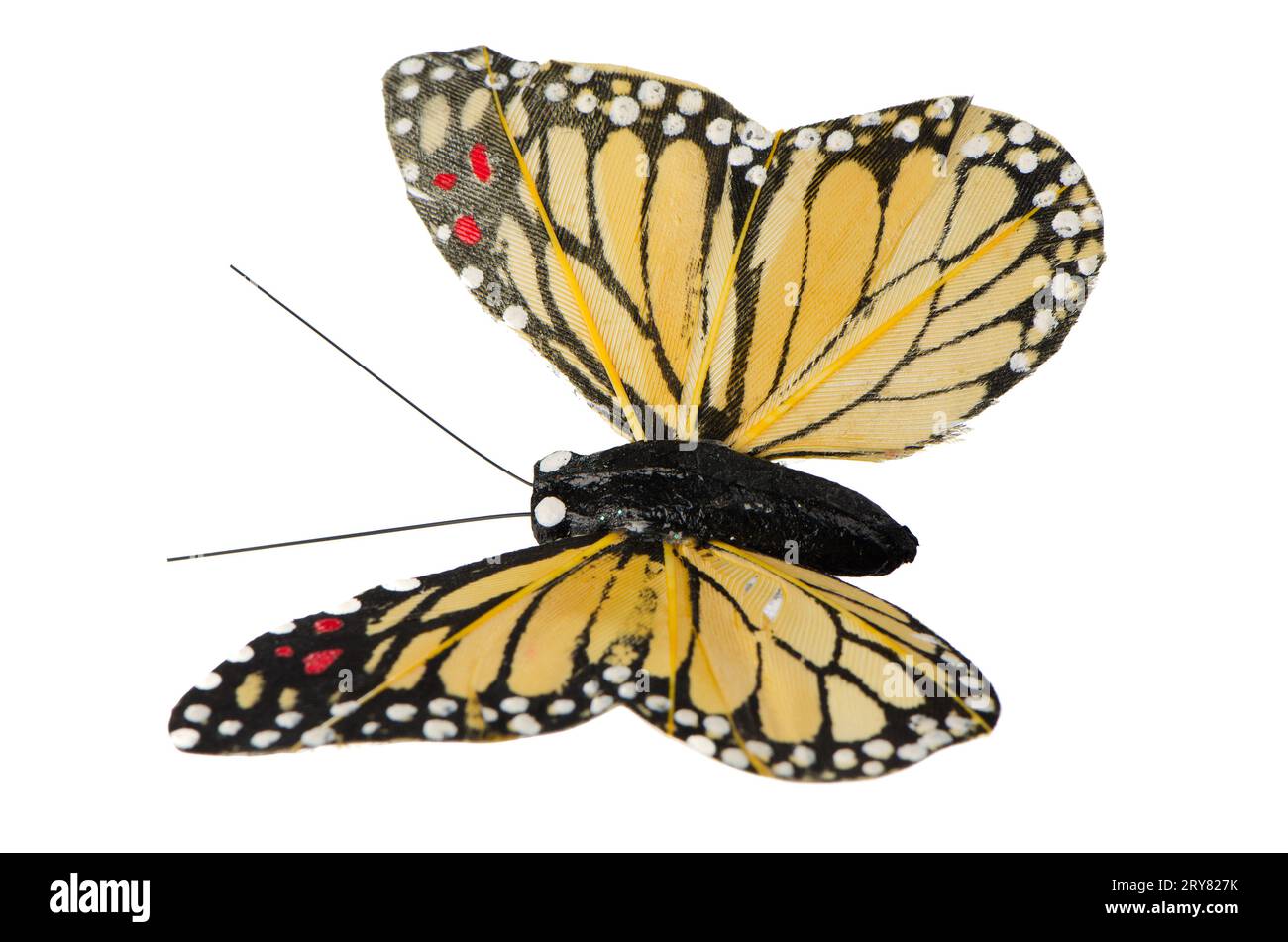 Fake butterfly hi-res stock photography and images - Alamy