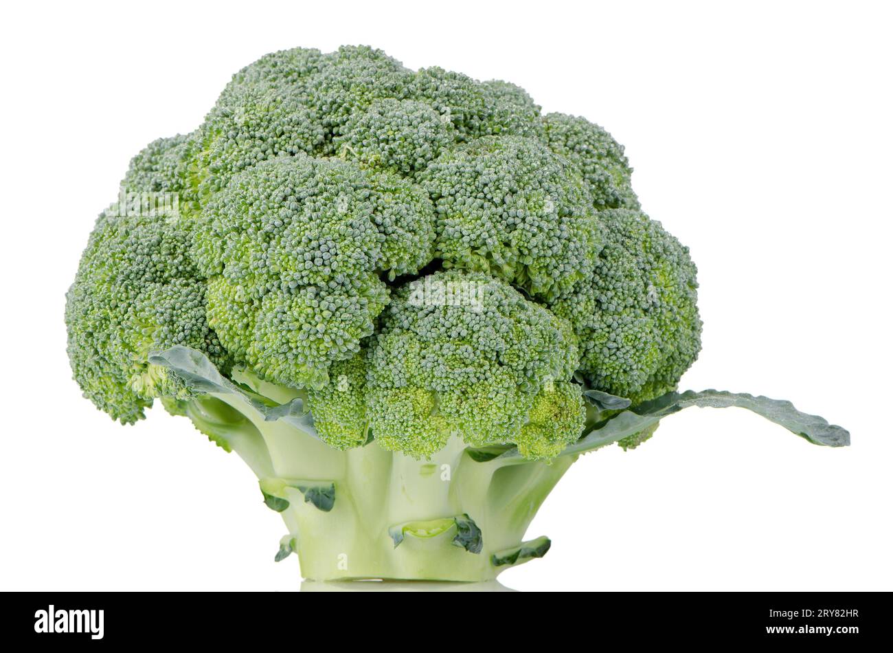 Broccoli single objects vegetables hi-res stock photography and images ...