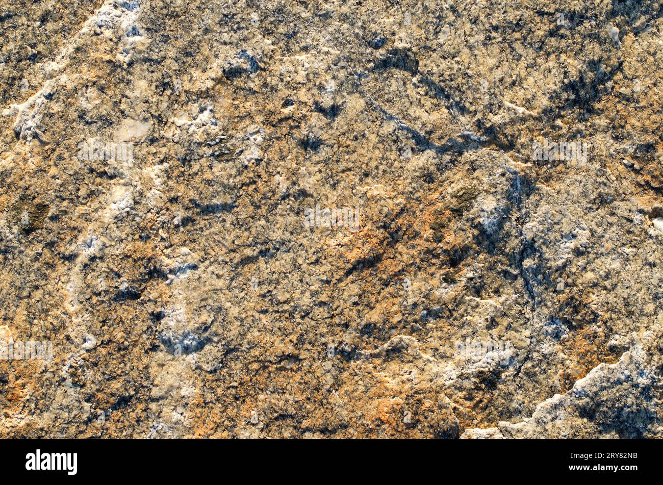 Rock texture surface Stock Photo - Alamy