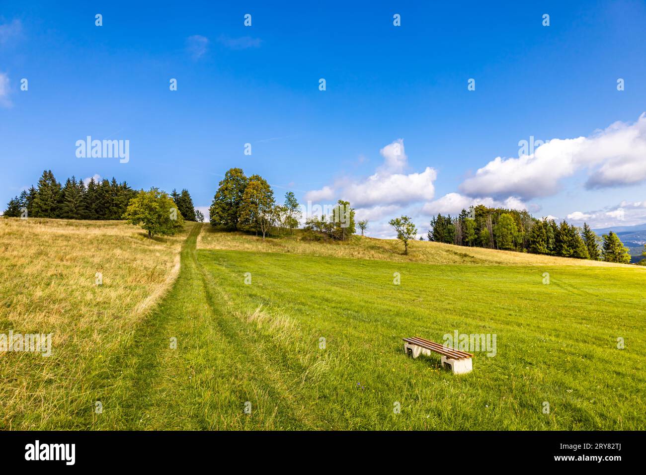 Beautiful hike through southern Thuringia around the Hohe Geba near ...