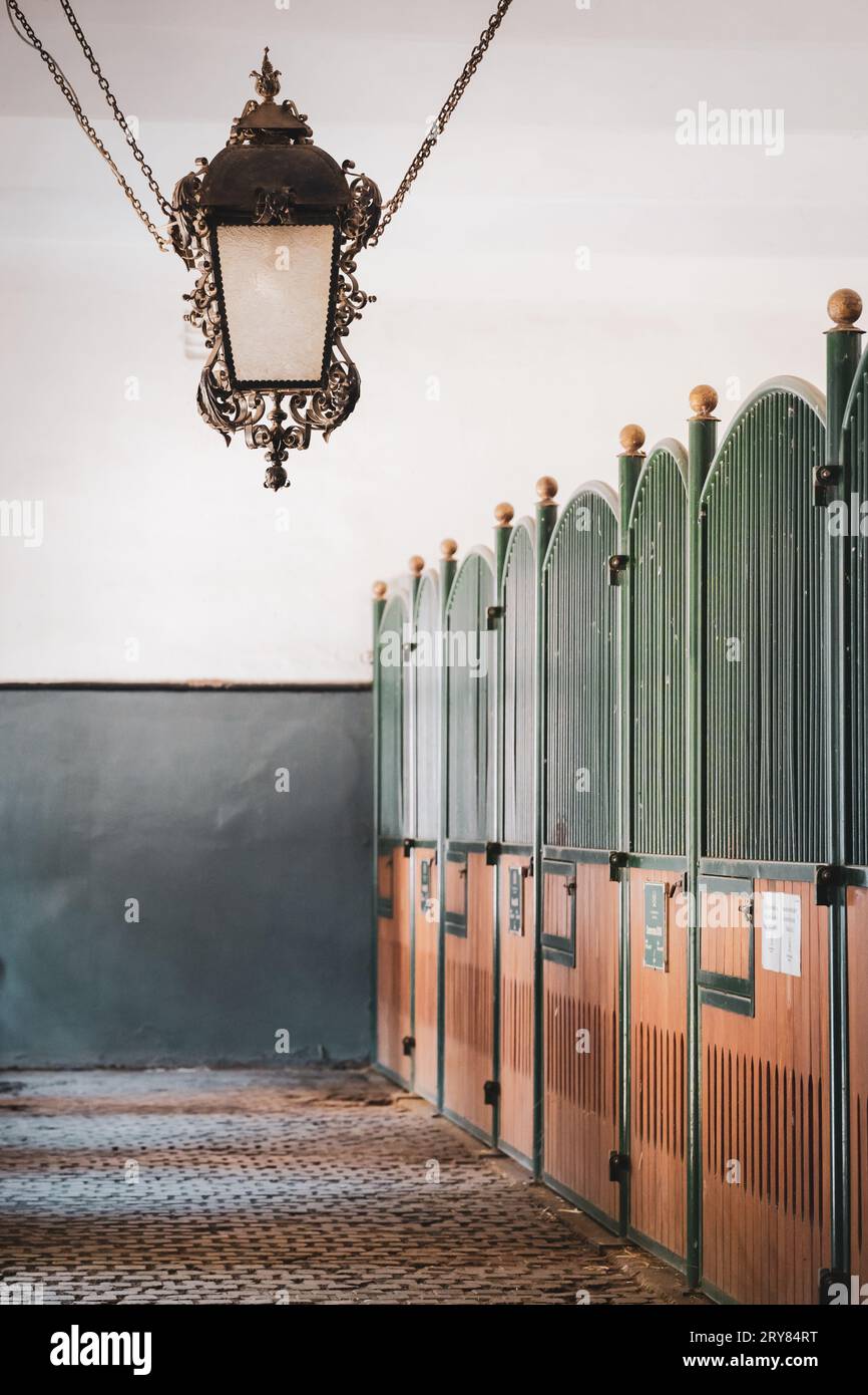 Detail of a guard count's stable built in the neoclassical style with ...