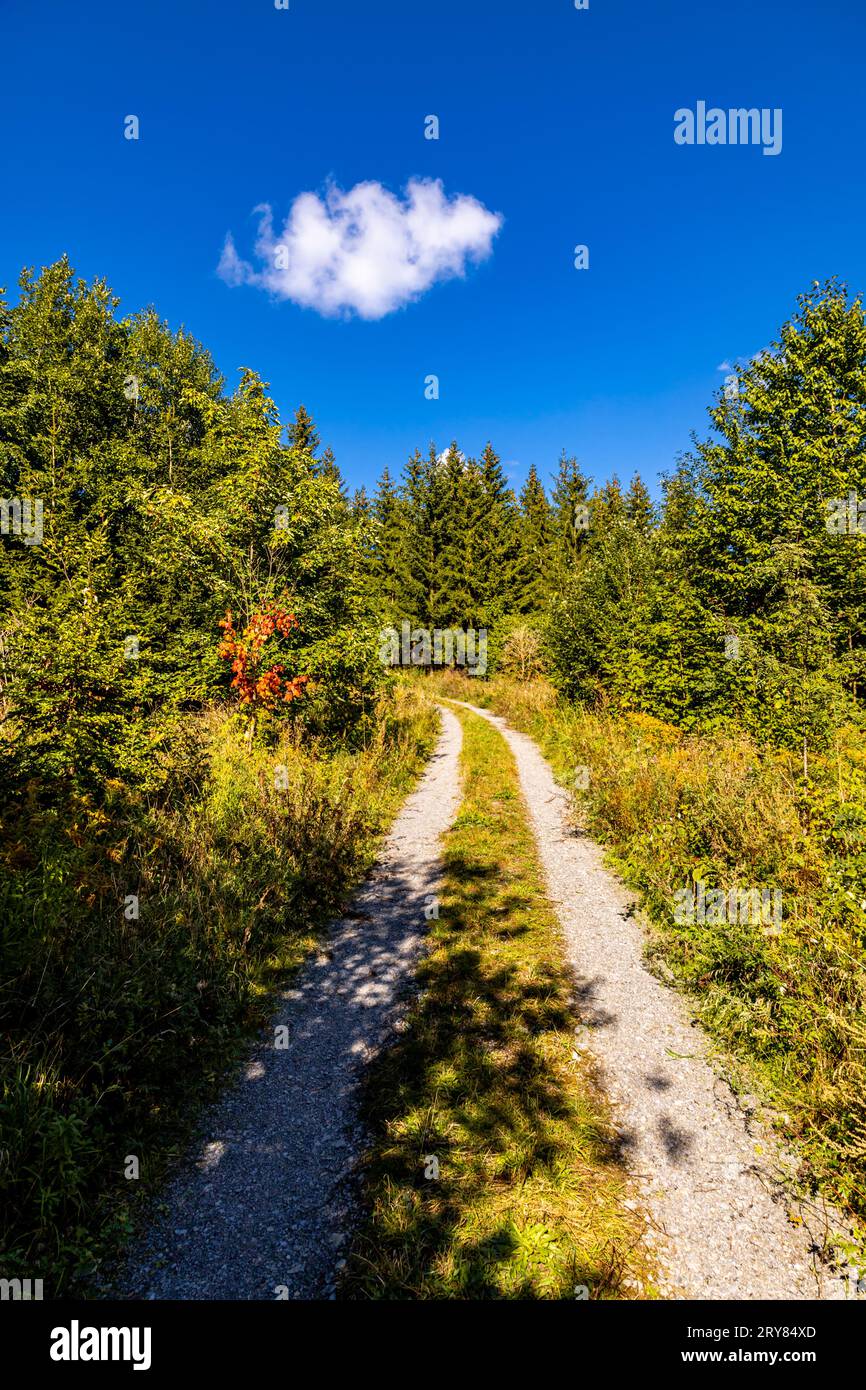 Beautiful hike through southern Thuringia around the Hohe Geba near ...